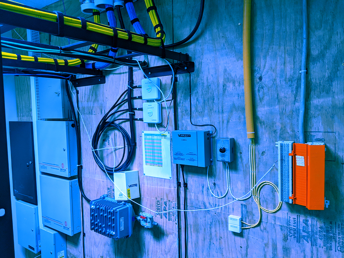 What to Expect During a Professional Network Wiring Audit - Horizon ...